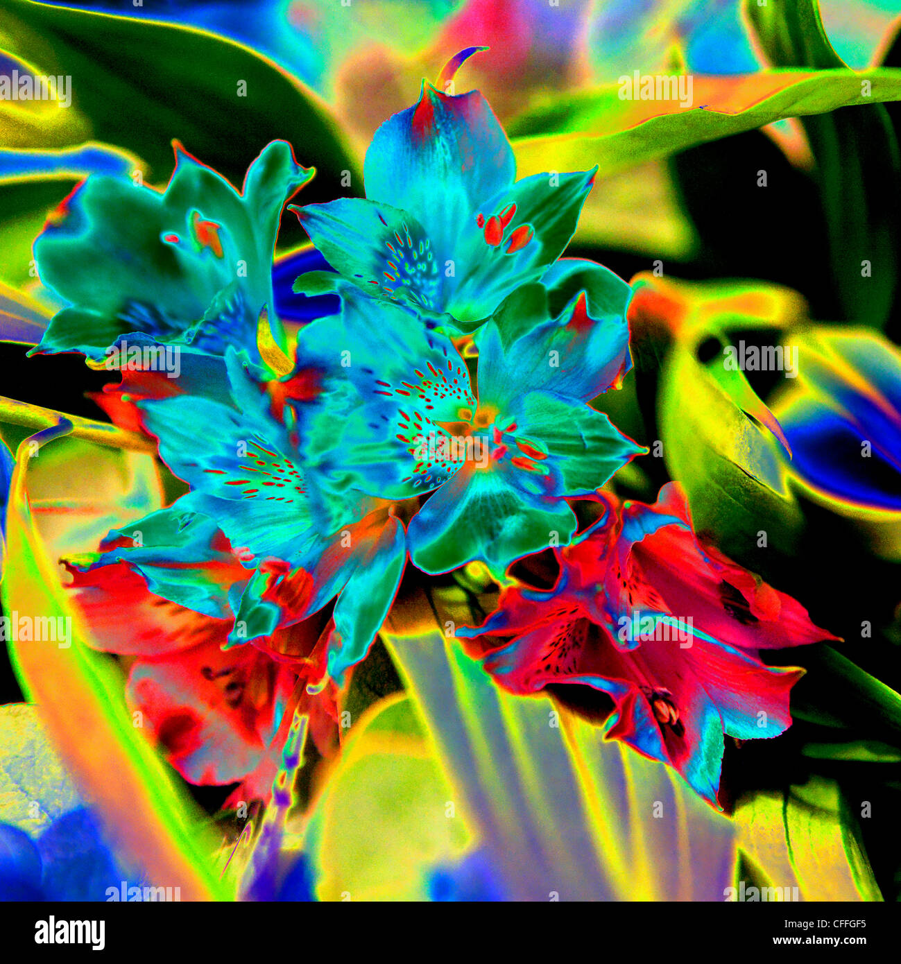 Solarized color hi-res stock photography and images - Alamy