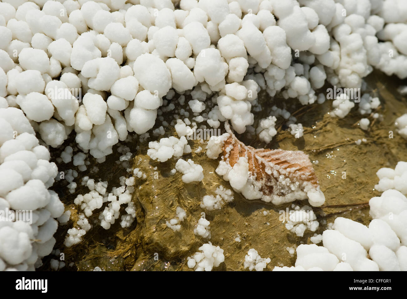 Crystal salt formation hi-res stock photography and images - Alamy