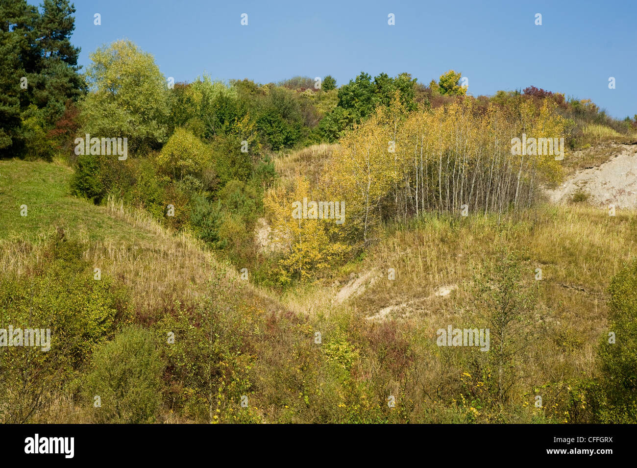 Parajd, Romania landscape Stock Photo - Alamy