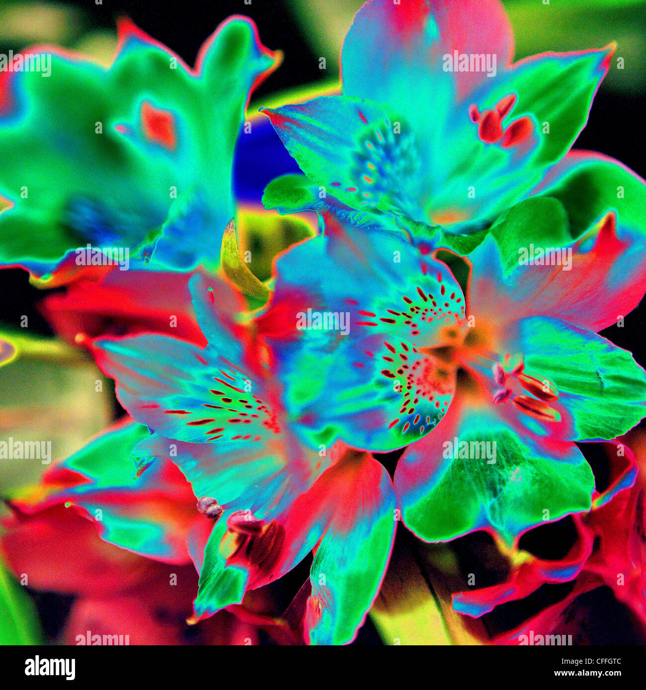 Solarized color hi-res stock photography and images - Alamy