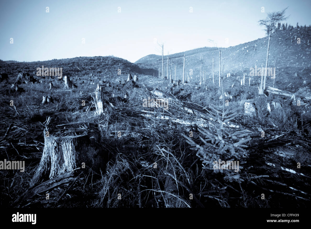 Clearcut hi-res stock photography and images - Alamy