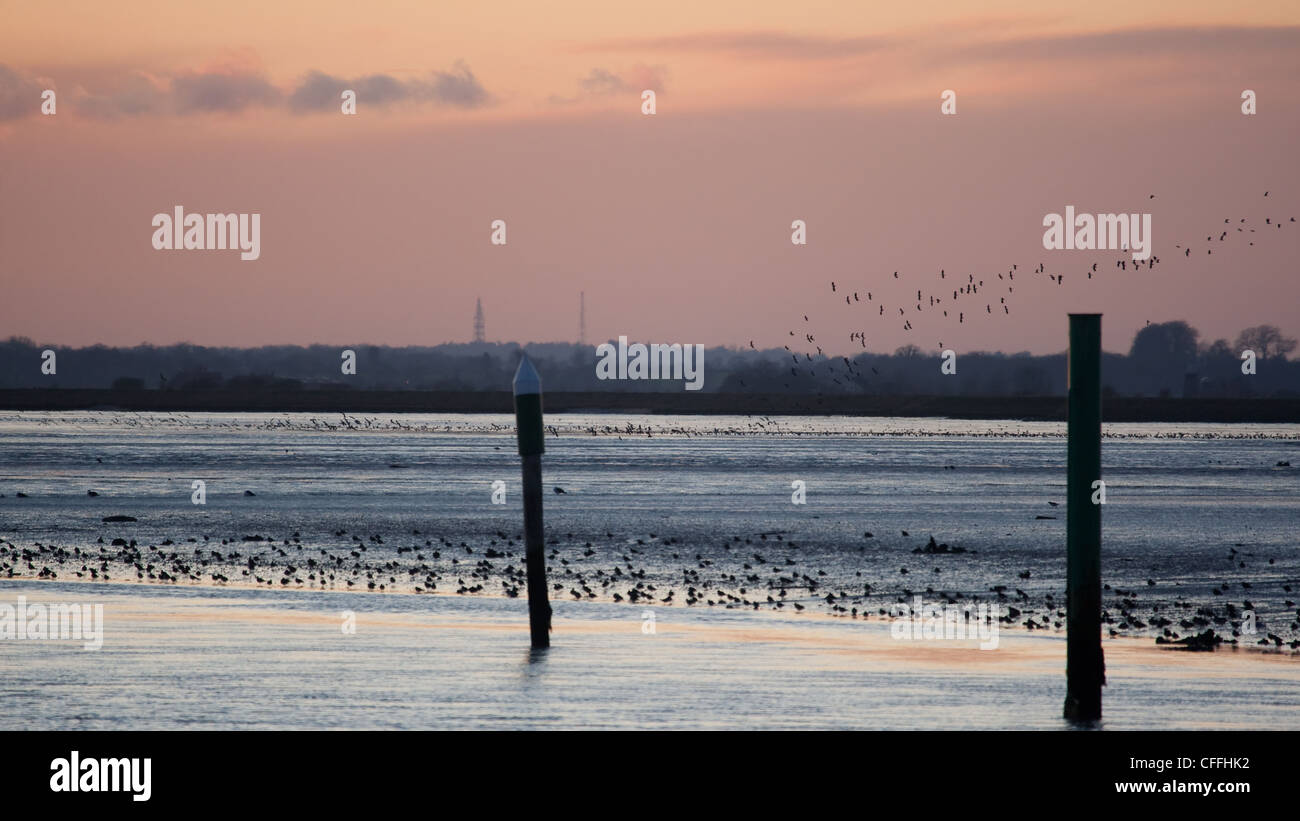 Sunset over Breydon Water, Norfolk Stock Photo - Alamy