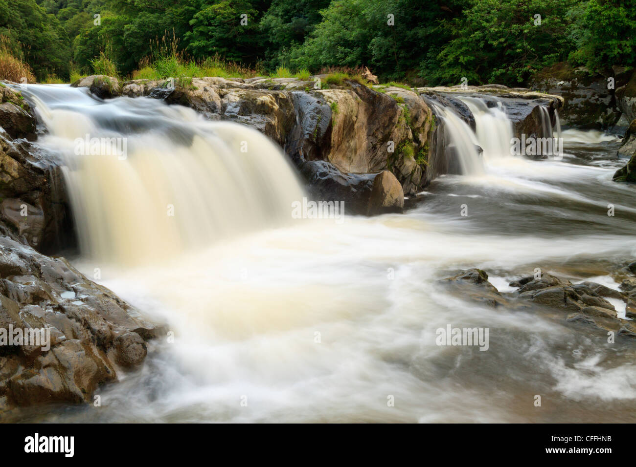 The Falls at Cenarth on the river Teifi Stock Photo - Alamy