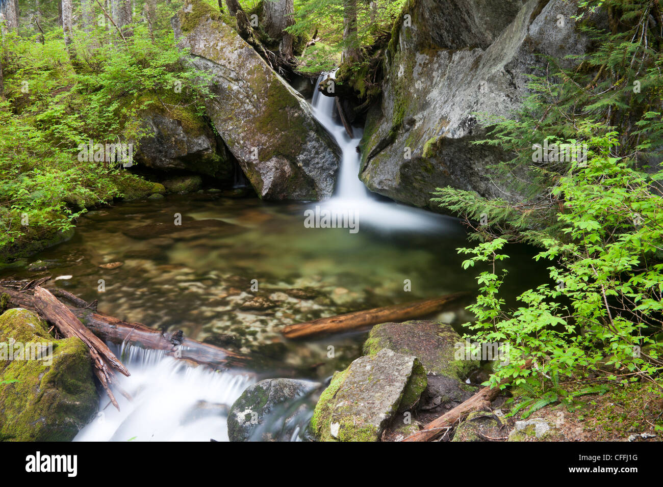A rainforest stream cascades into a pool through granite rocks Stock ...