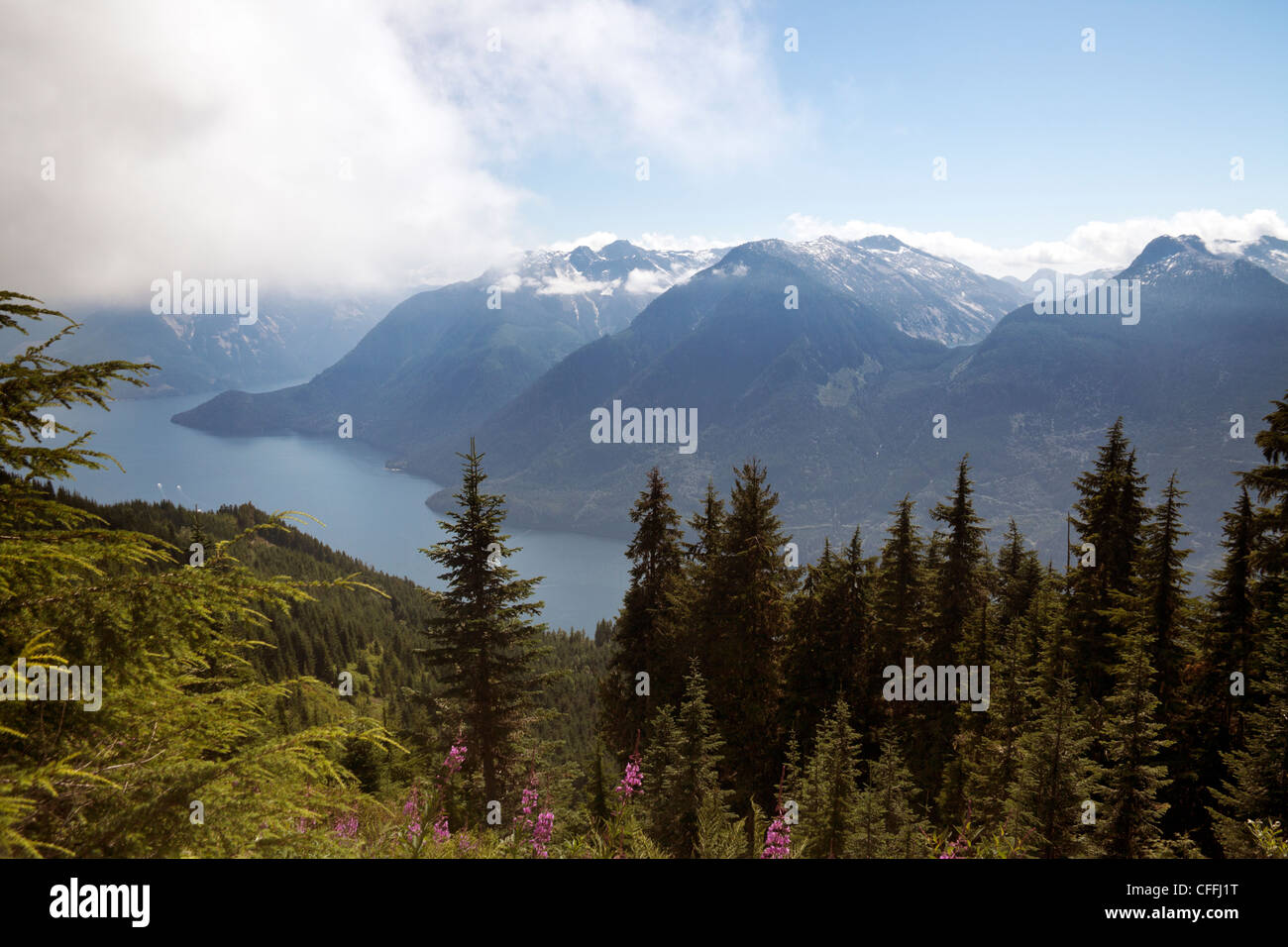Views of the Jervis Inlet on a summer day Stock Photo - Alamy