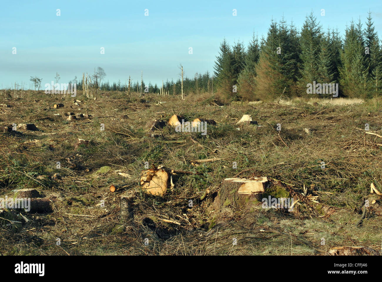 deforestation on the wicklow gap in wicklow ireland Stock Photo - Alamy