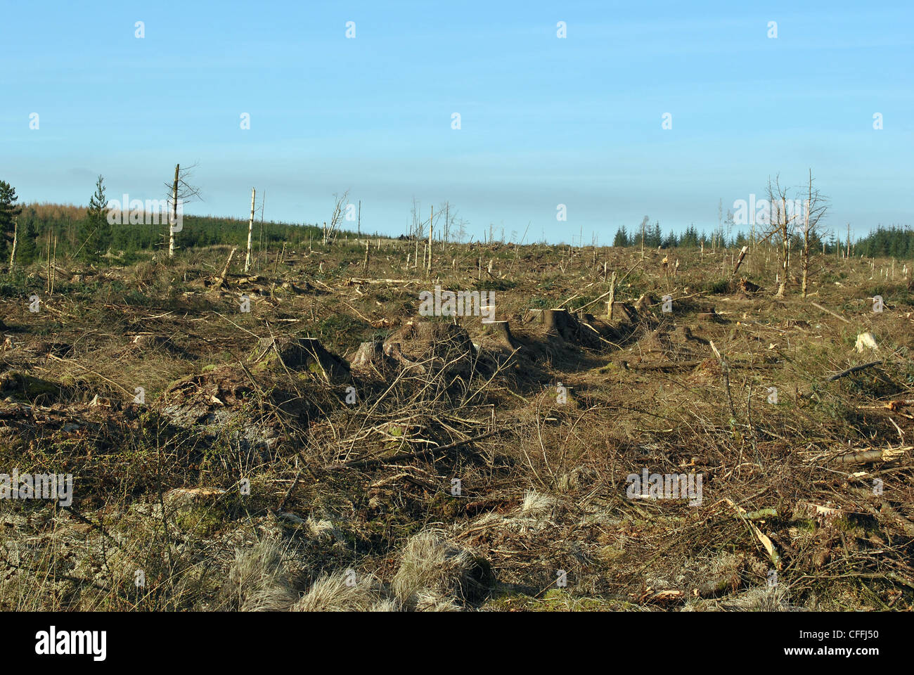 deforestation on the wicklow gap in wicklow ireland Stock Photo - Alamy