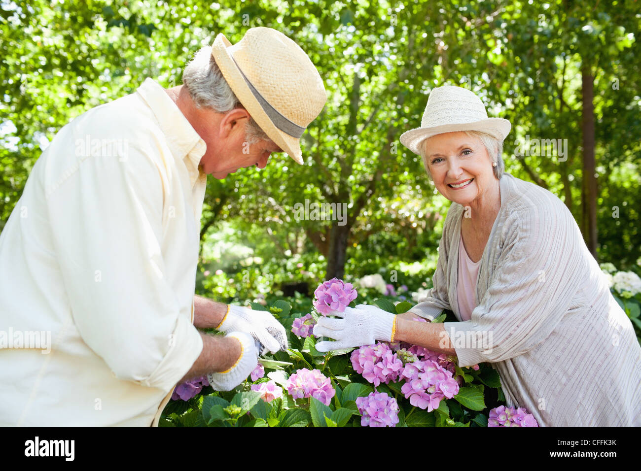 Woman smiling while pruning flowers with a man Stock Photo - Alamy