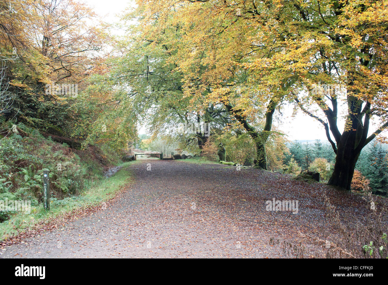 Llanwonno hi-res stock photography and images - Alamy