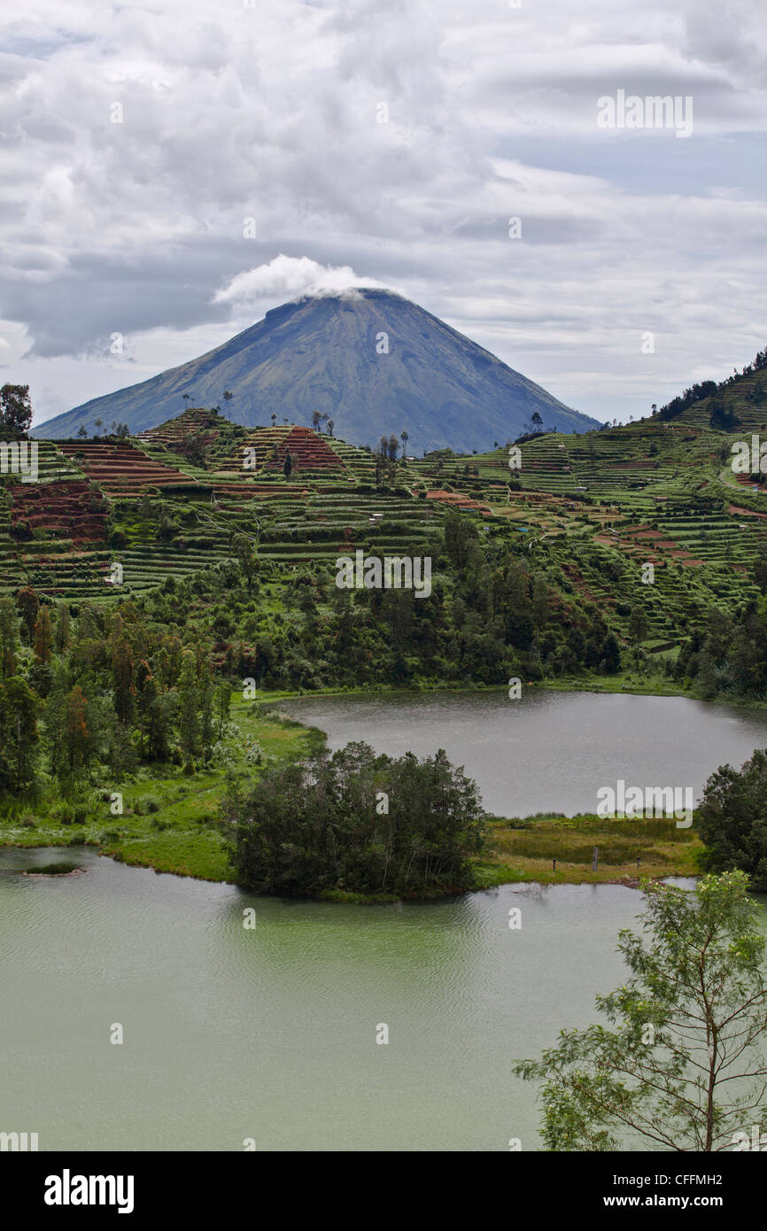 Panorama of volcano and terraces fields, Dieng, Java, South Pacific ...