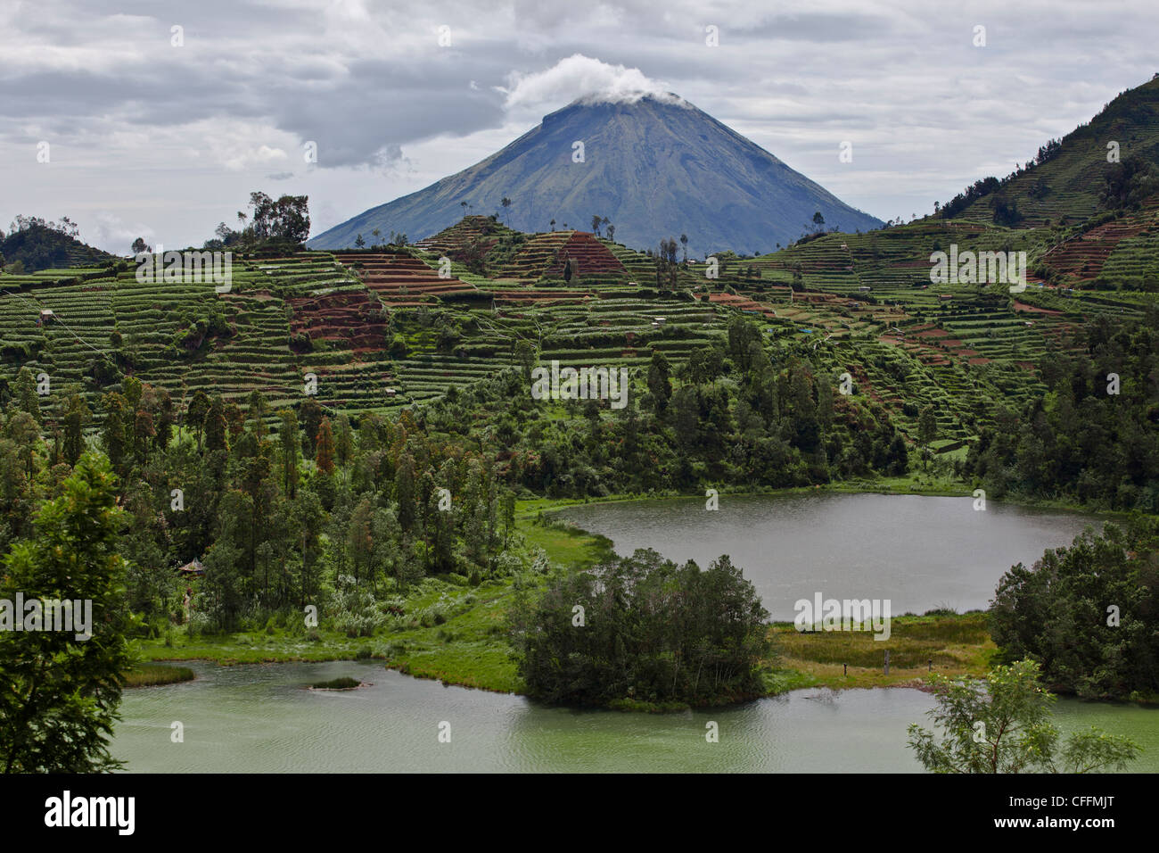Panorama of volcano and terraces fields, Dieng, Java, South Pacific ...