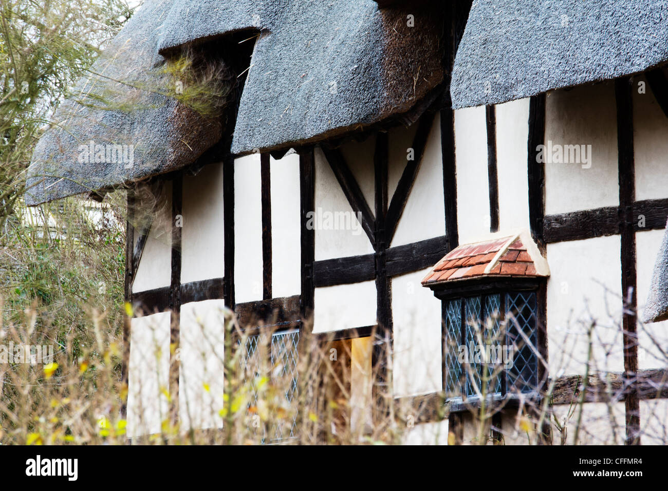 ann anne hathaways cottage home of william shakespeares shakespeare ...