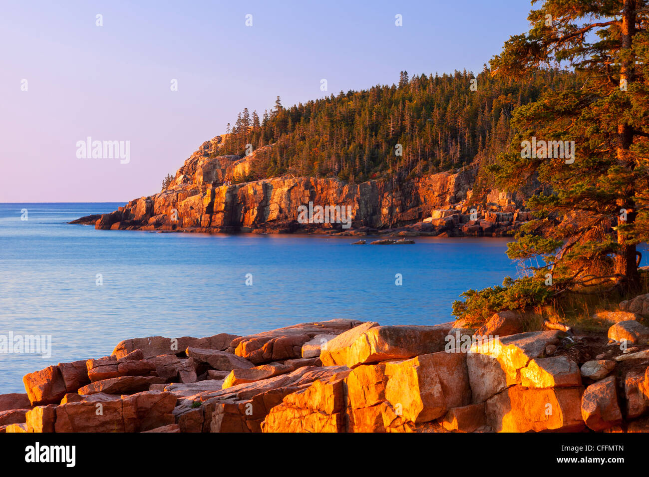 First rays of dawn along the Otter Cliffs in Acadia National Park ...