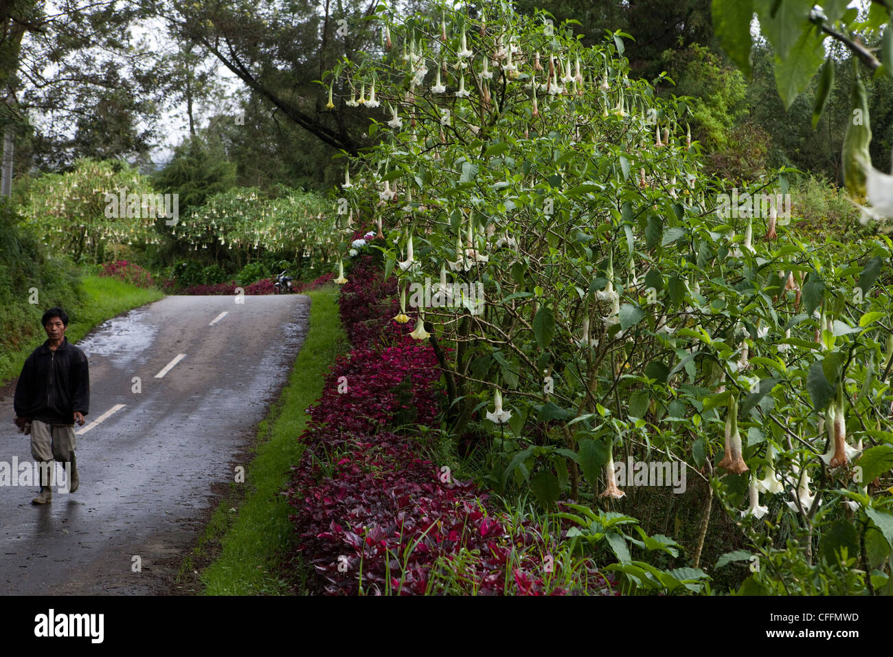 Rain asia man hi-res stock photography and images - Alamy