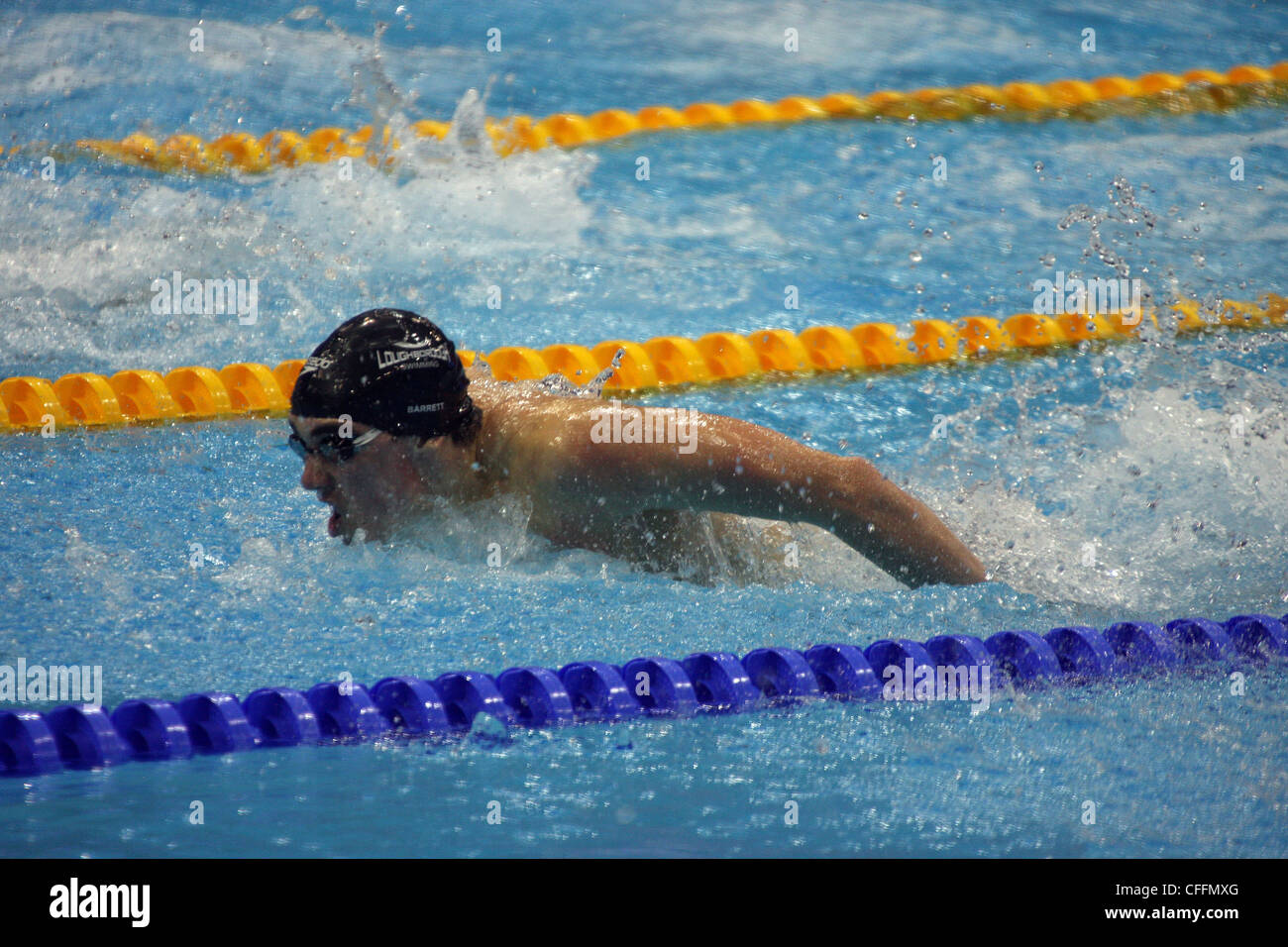 100 metres butterfly hi-res stock photography and images - Alamy