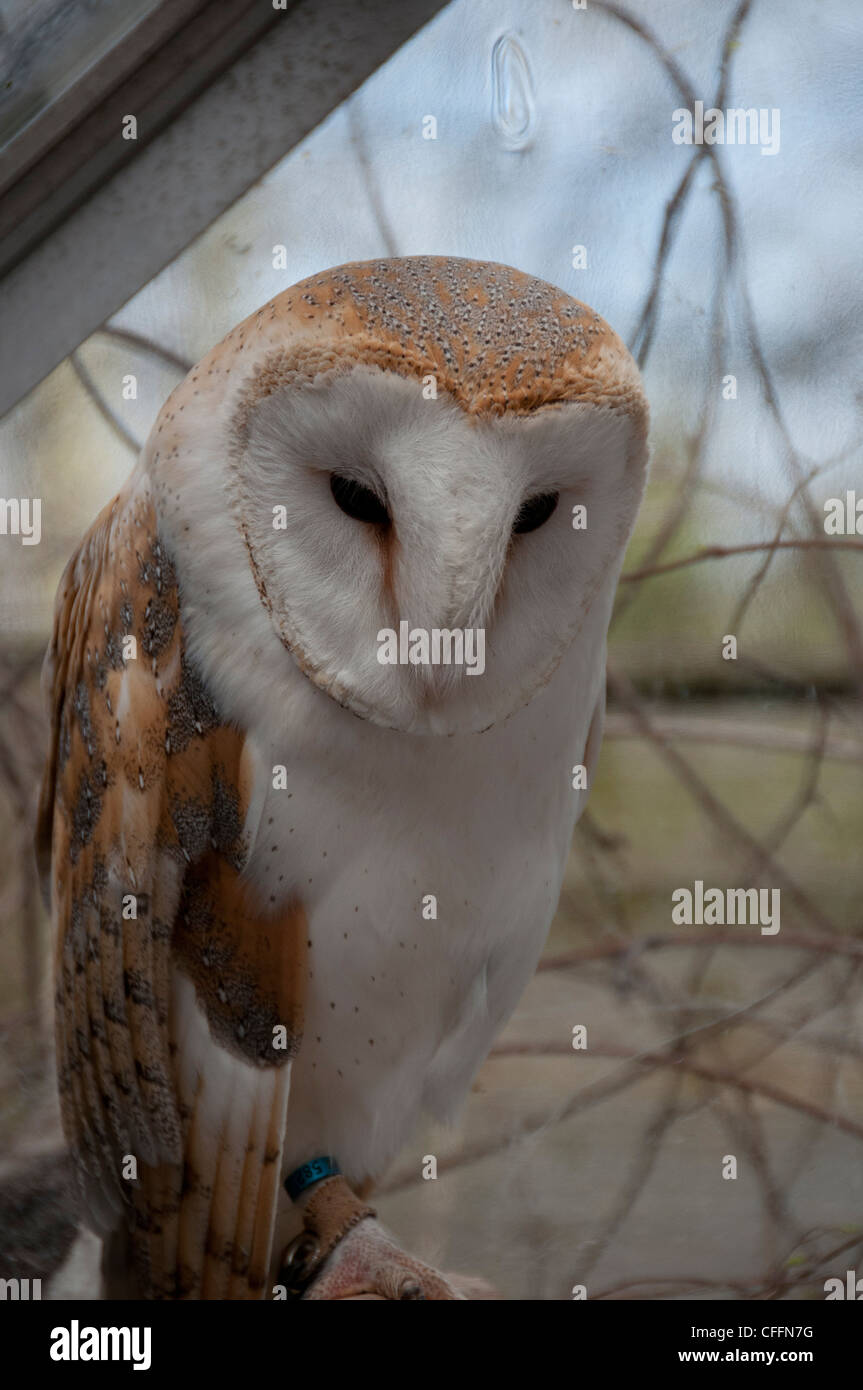 English barns hi-res stock photography and images - Alamy