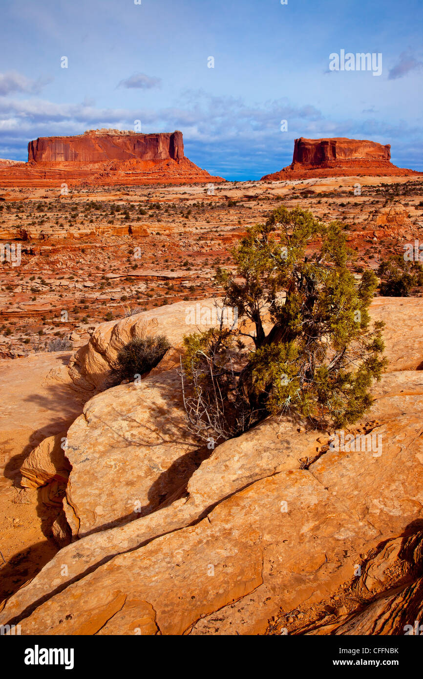 Monitor merrimack buttes near canyonlands hi-res stock photography and ...