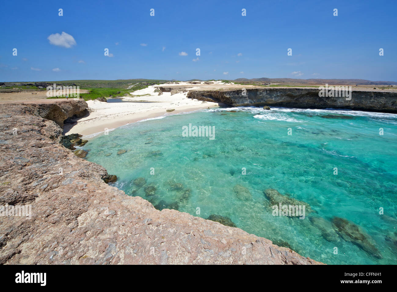 Coral caribbean hi-res stock photography and images - Alamy