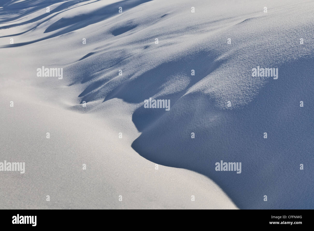 texture with light morning snow Stock Photo - Alamy