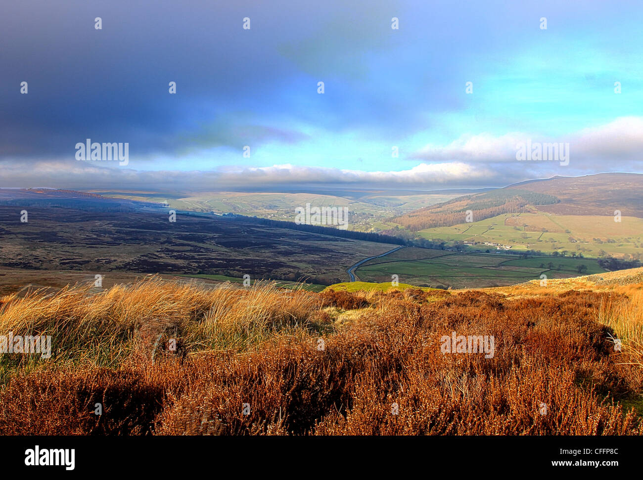 Middle hare head hi-res stock photography and images - Alamy