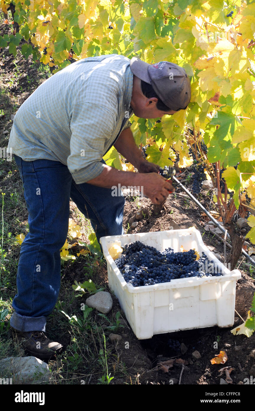 Manual farm work hi-res stock photography and images - Alamy