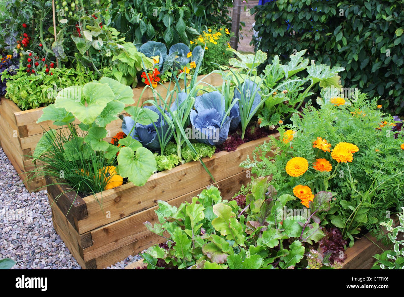 Container garden vegetables hi-res stock photography and images - Alamy