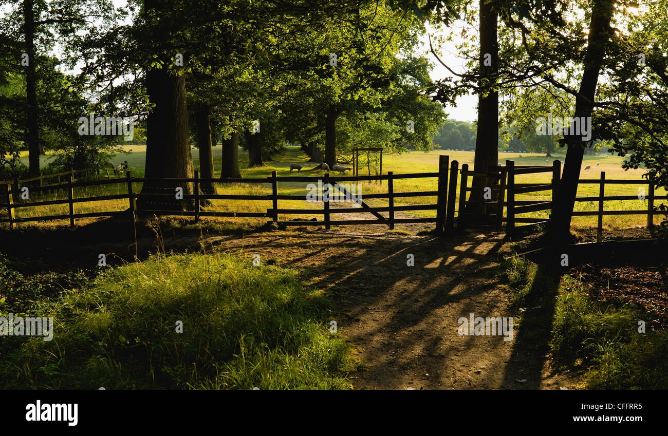 images of england Stock Photo - Alamy