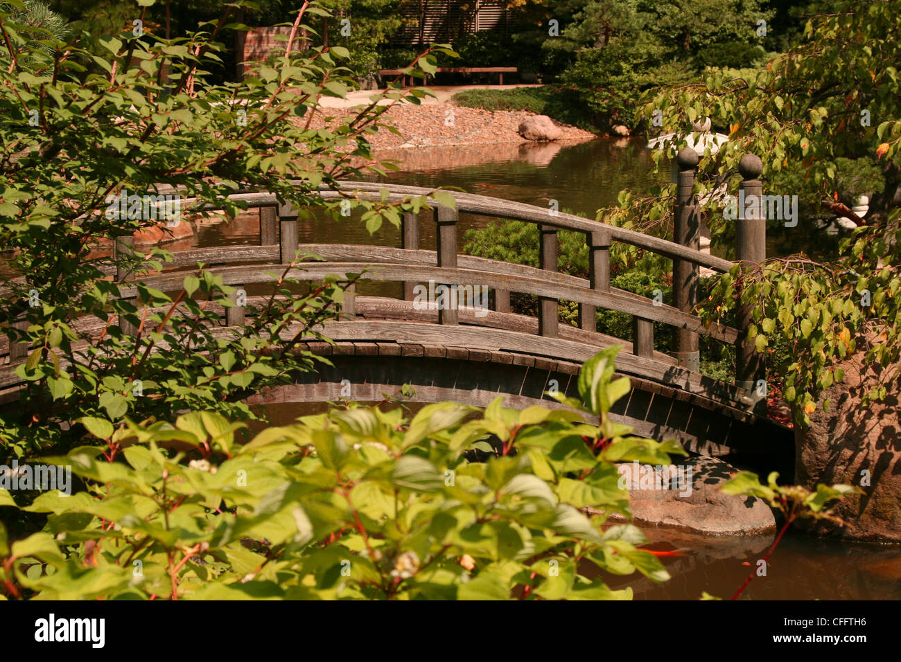 Wood bridge over small pond to an island Stock Photo - Alamy