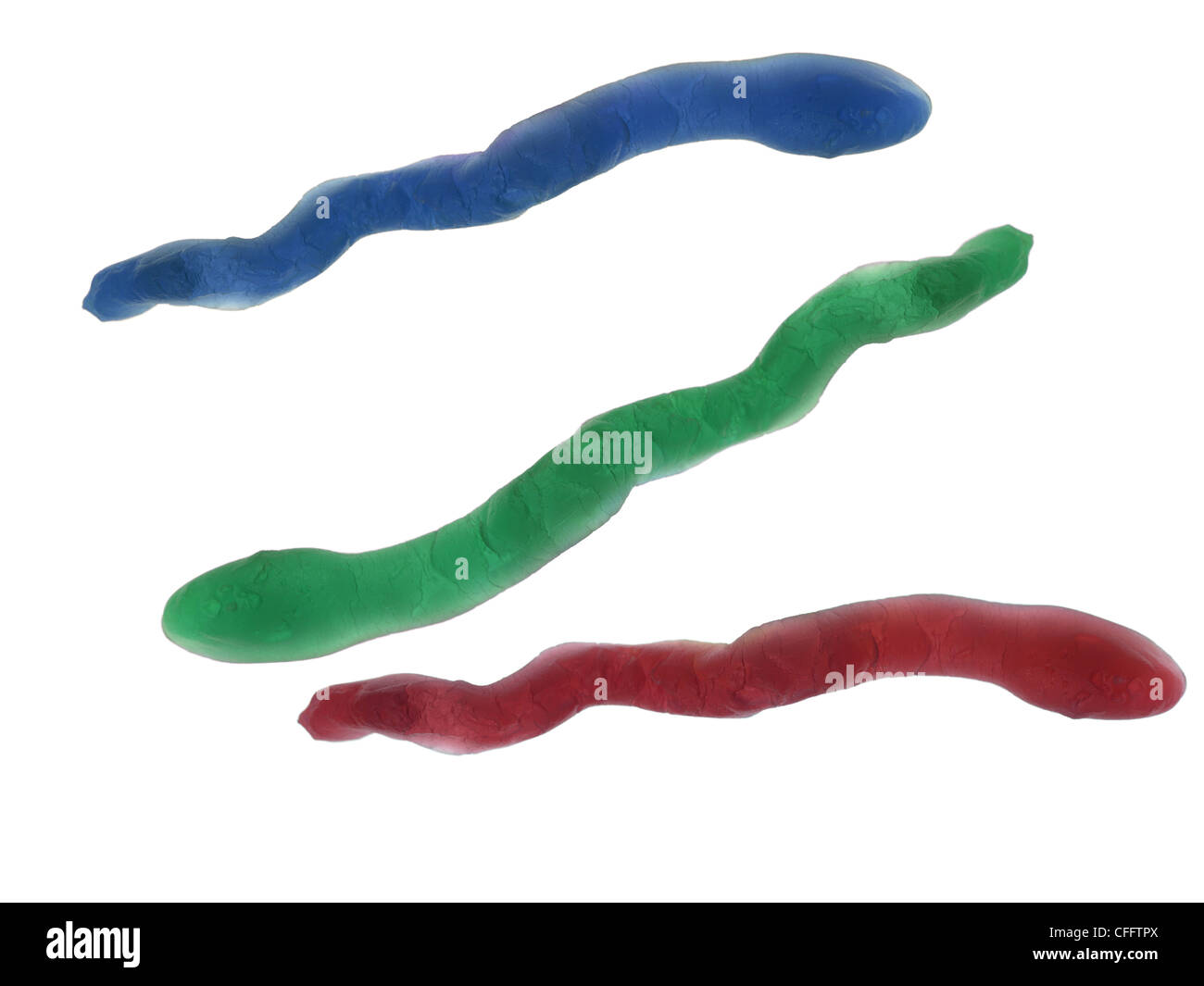 Candy snakes isolated against a white background Stock Photo - Alamy
