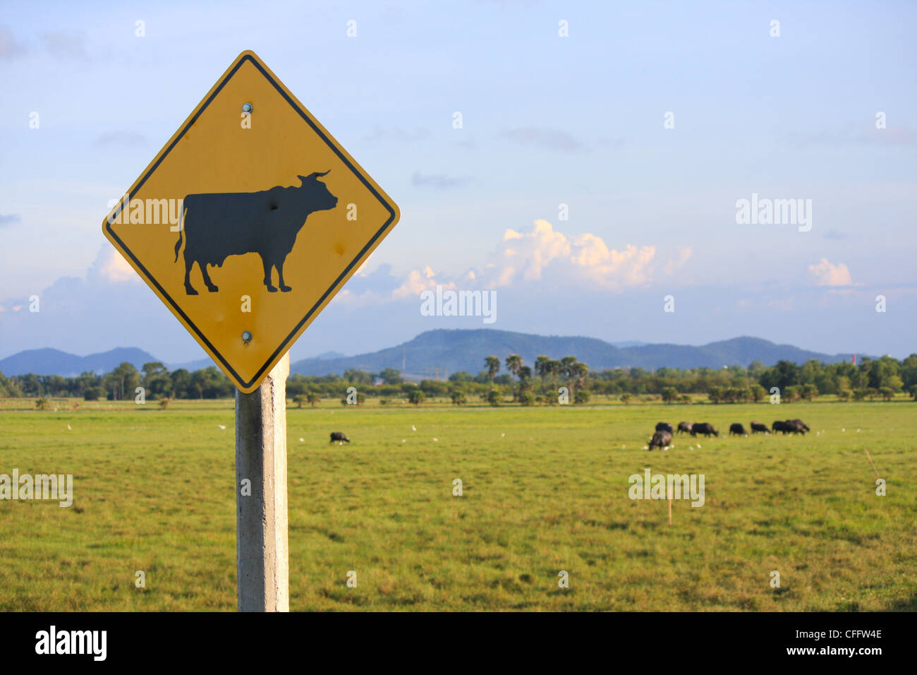 Buffalo sign hi-res stock photography and images - Alamy