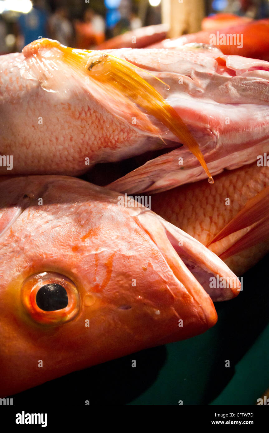 a close up of dead fish eye in market, philippines Stock Photo - Alamy