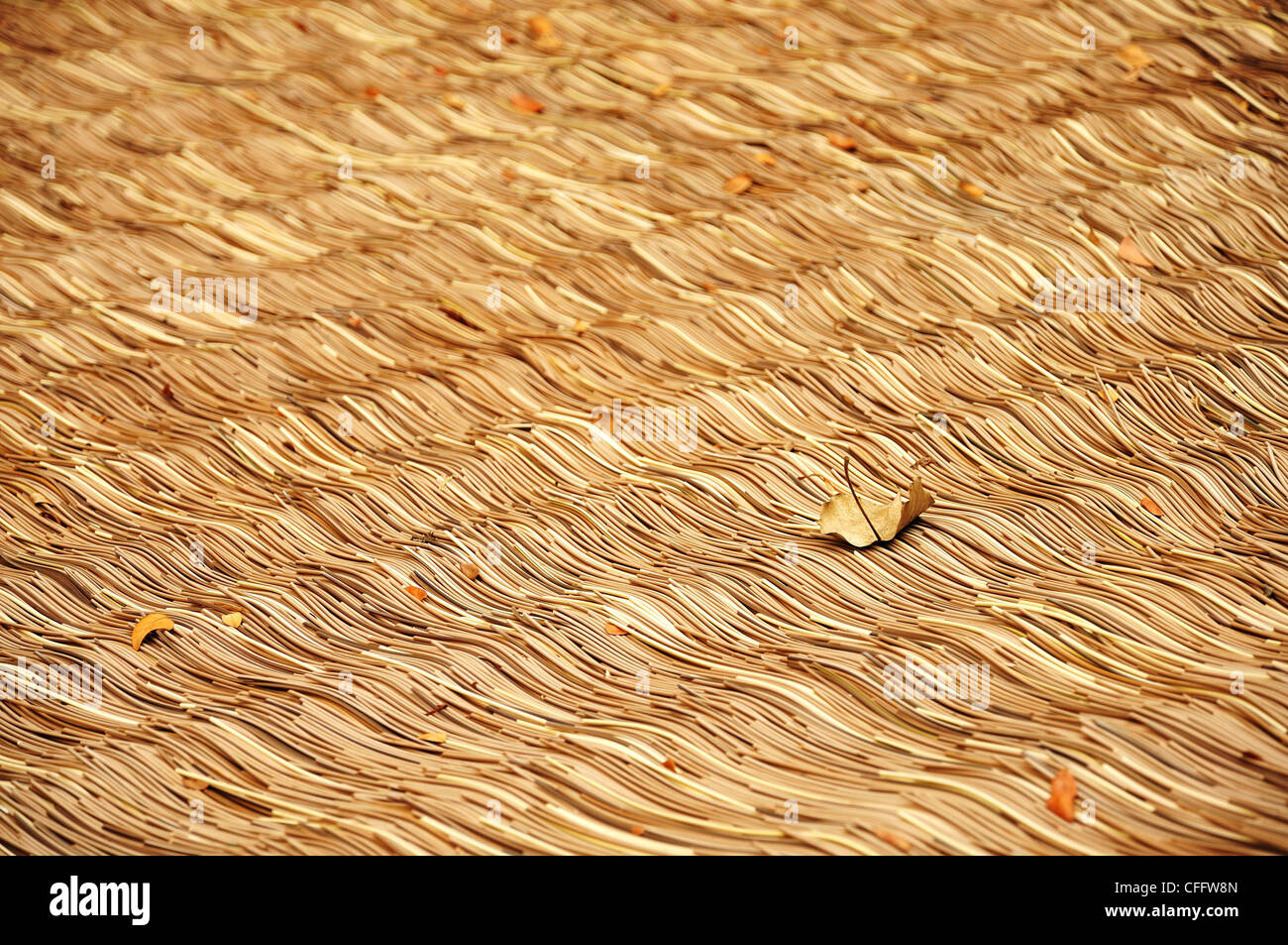 Leaf on roof weave Stock Photo - Alamy