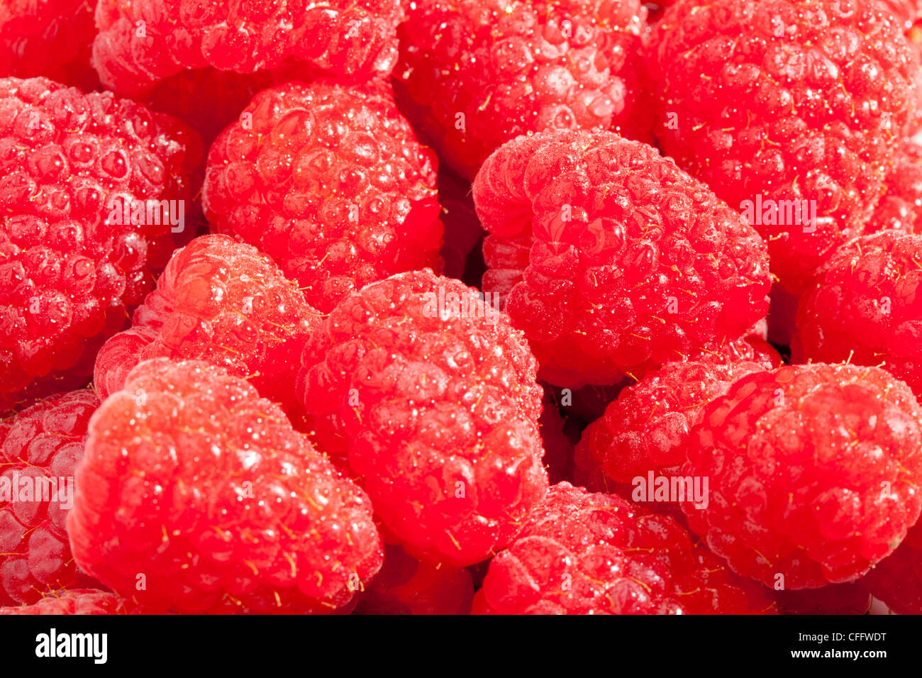 Raspberries fruit hi-res stock photography and images - Alamy