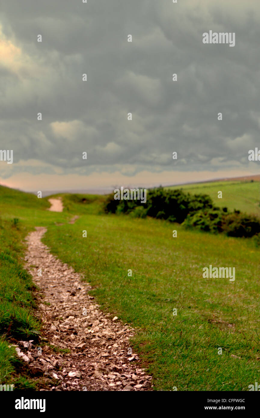 Stone Path at Devil's Dyke, England Stock Photo - Alamy