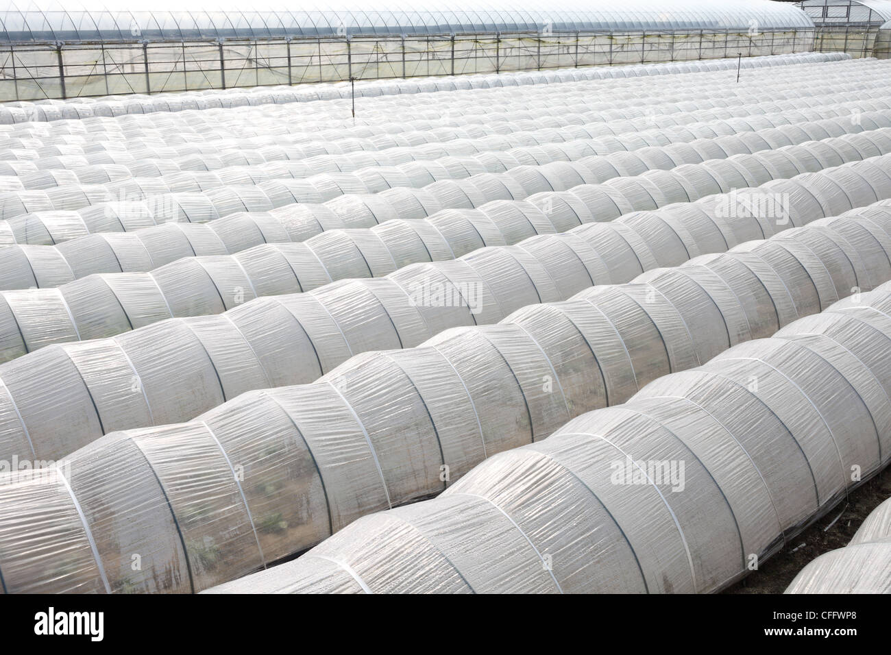 Agricultural plastic sheet hi-res stock photography and images - Alamy