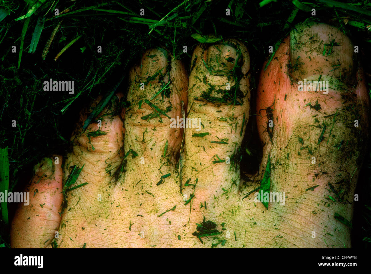 Cutting Toenail High Resolution Stock Photography and Images - Alamy