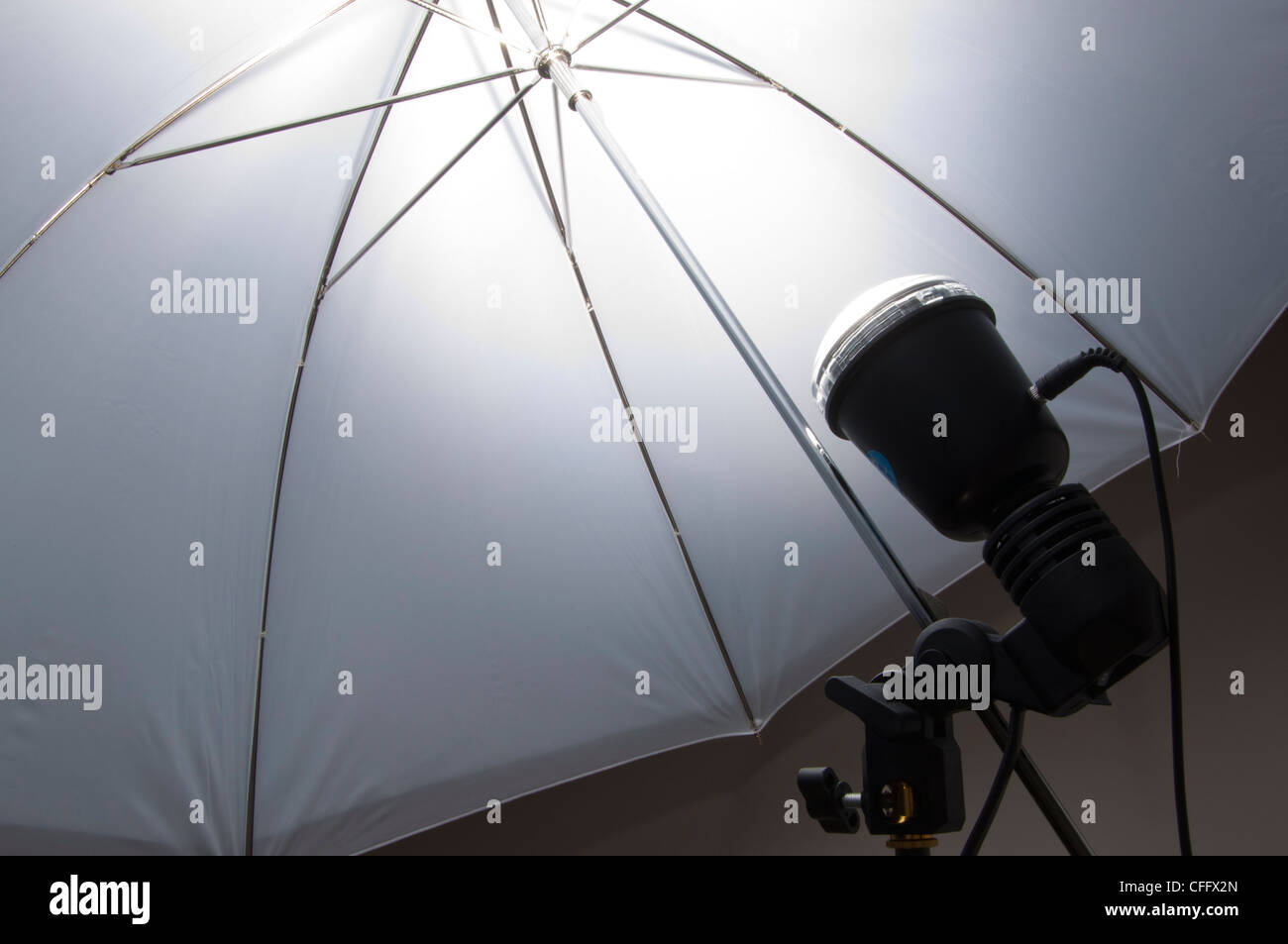 Photography set up with umbrella Stock Photo - Alamy