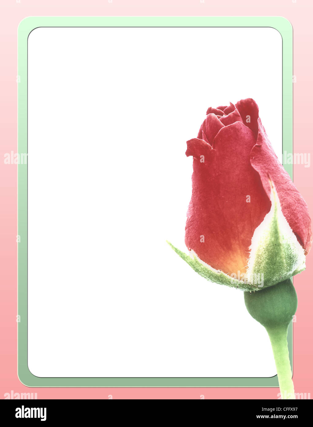 Rose letter paper Stock Photo - Alamy
