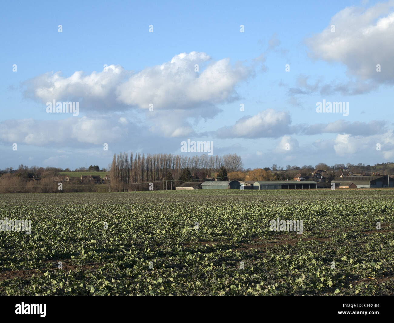 images of england Stock Photo - Alamy