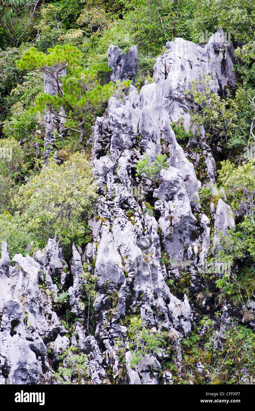 limestone formations in Sagada, Philippines Stock Photo - Alamy