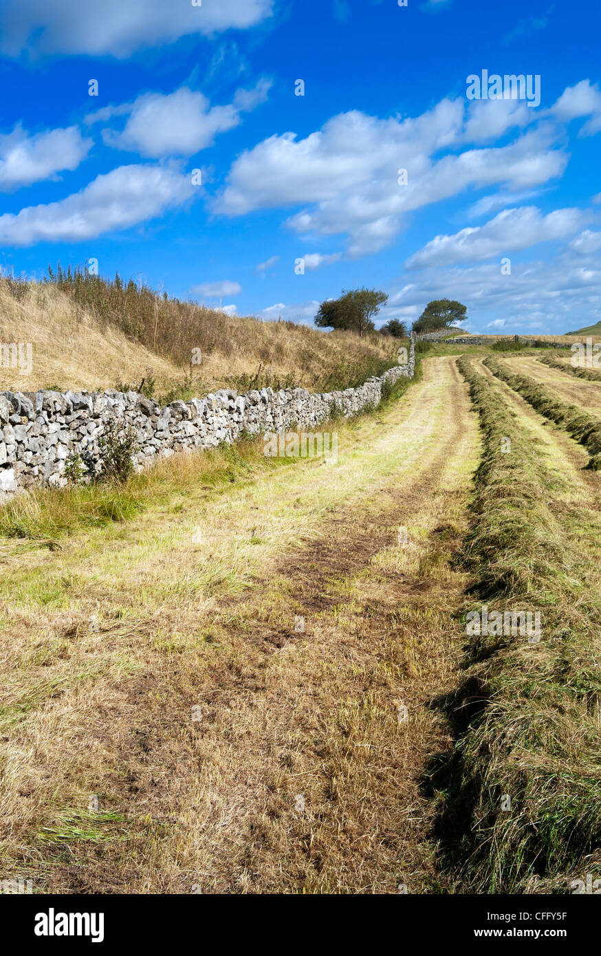 images of england Stock Photo - Alamy