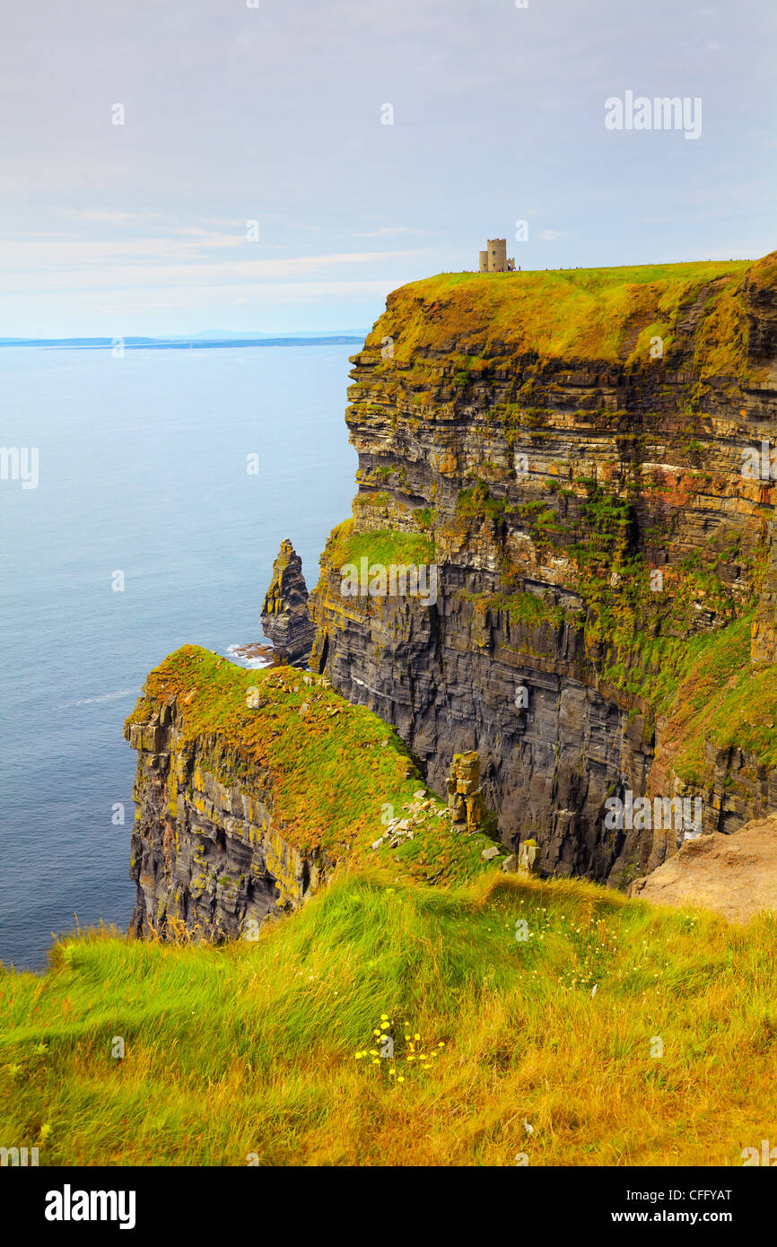 Beautiful dusk landscape of Cliffs of Moher in summer, Ireland Stock ...