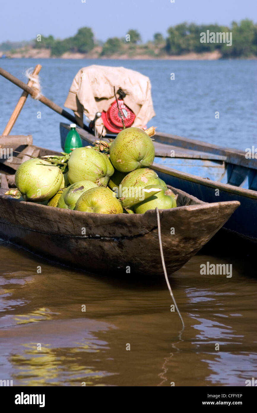 Coconuts outside village hi-res stock photography and images - Alamy