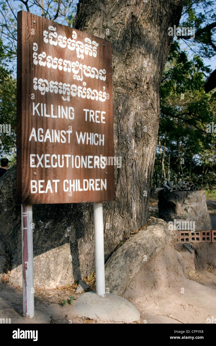 A Chankiri tree or Killing tree used to kill babies is on display at ...