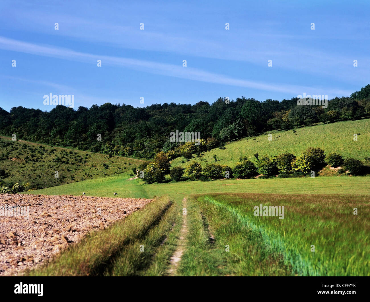 images of england Stock Photo - Alamy