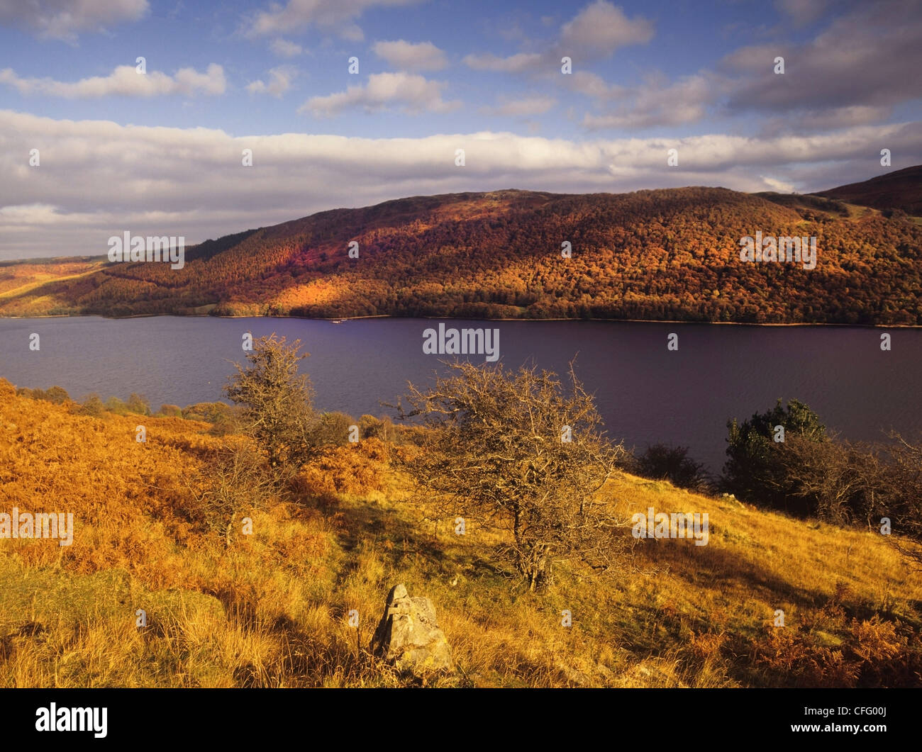 images of england Stock Photo - Alamy