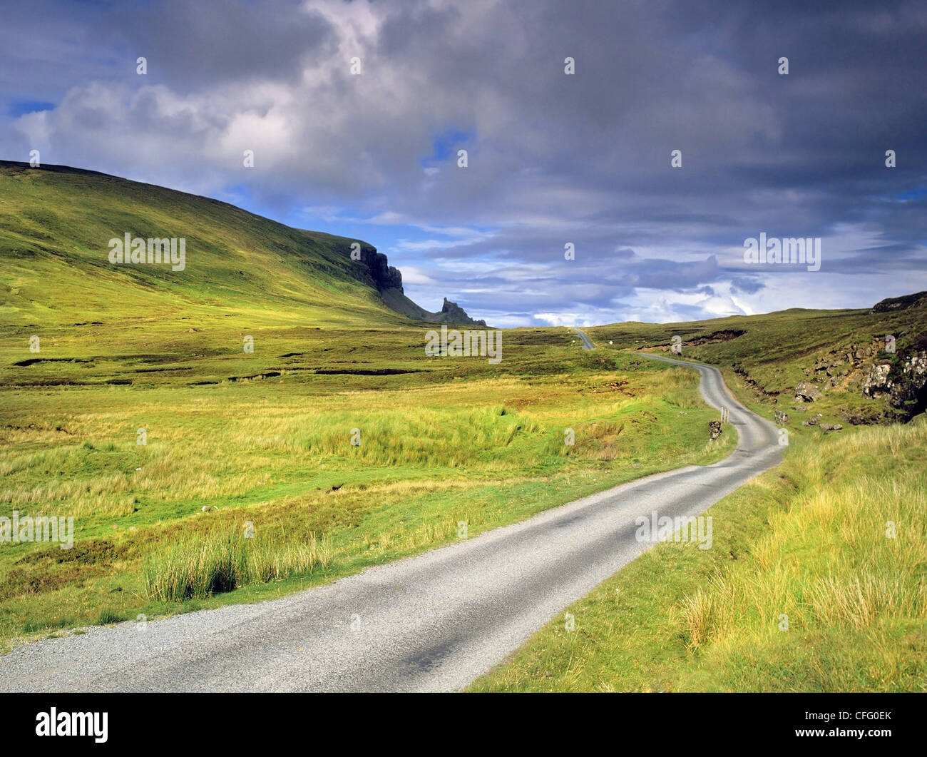 Heathland areas hi-res stock photography and images - Alamy