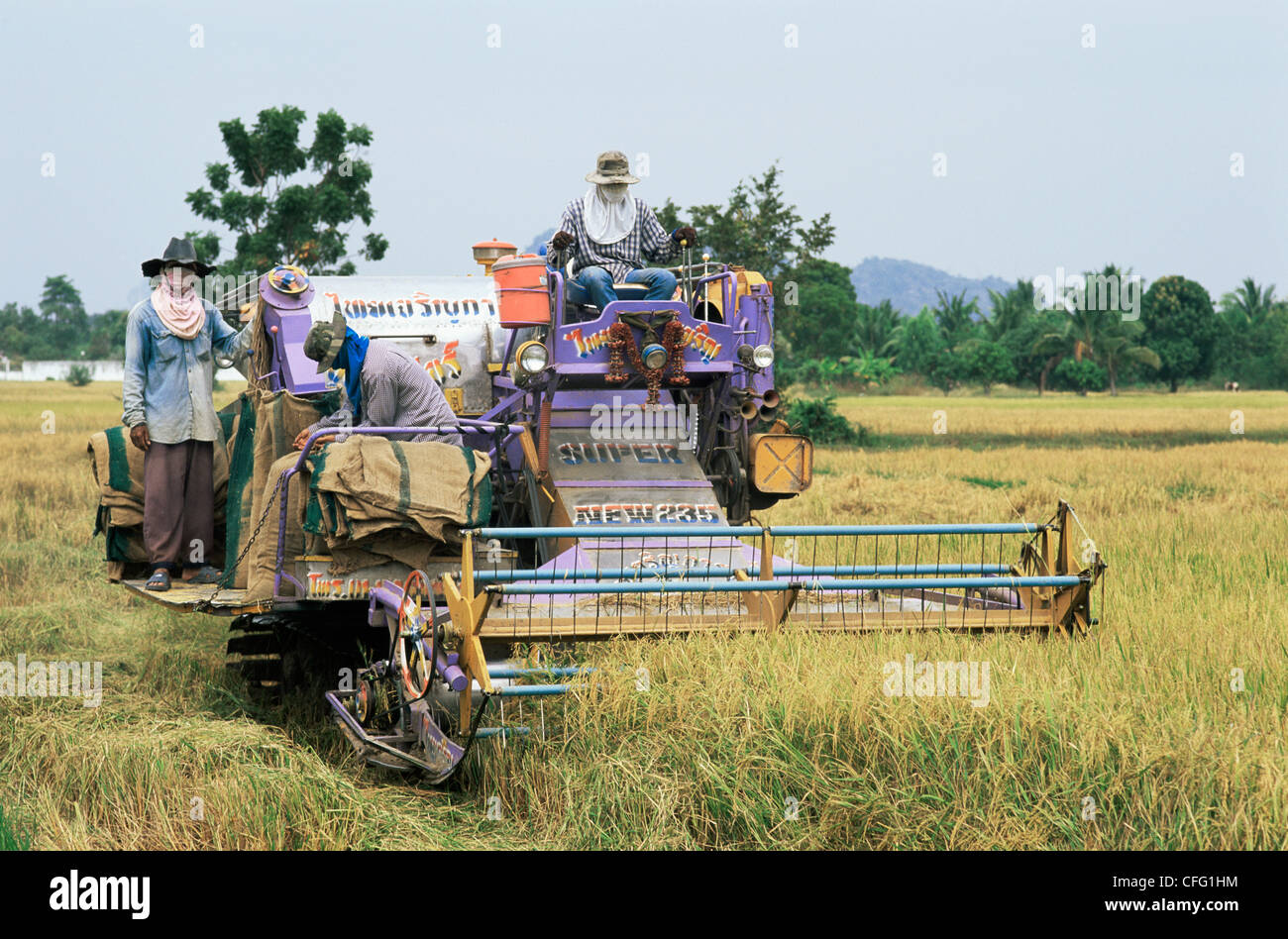 Modern rice harvesting hi-res stock photography and images - Alamy