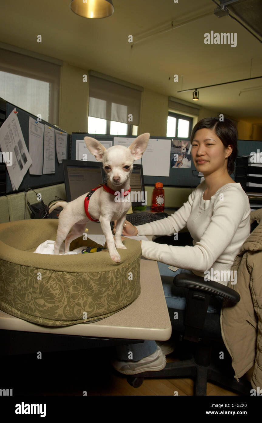 Standing work station office woman hi-res stock photography and images ...