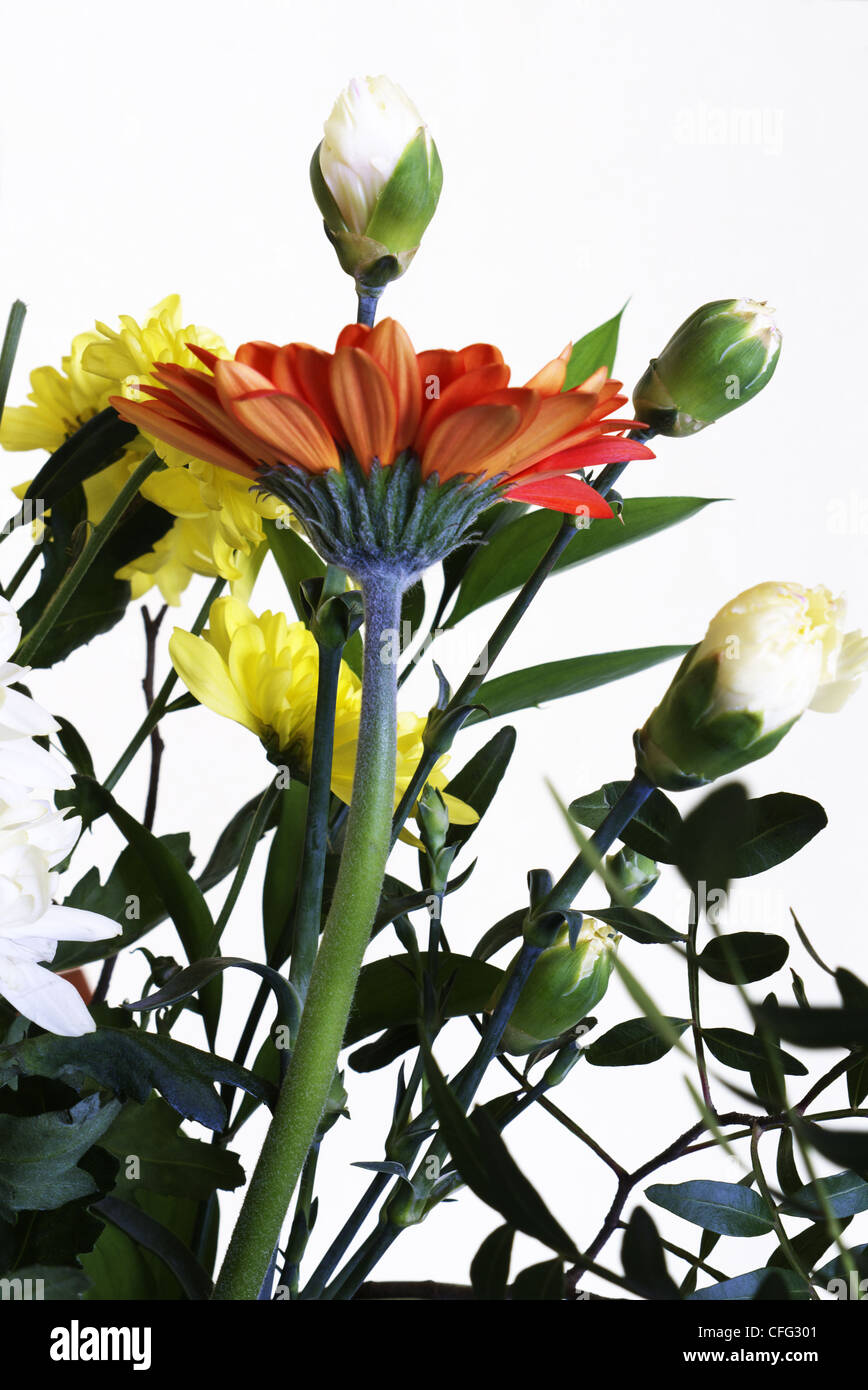 A flower display Stock Photo - Alamy